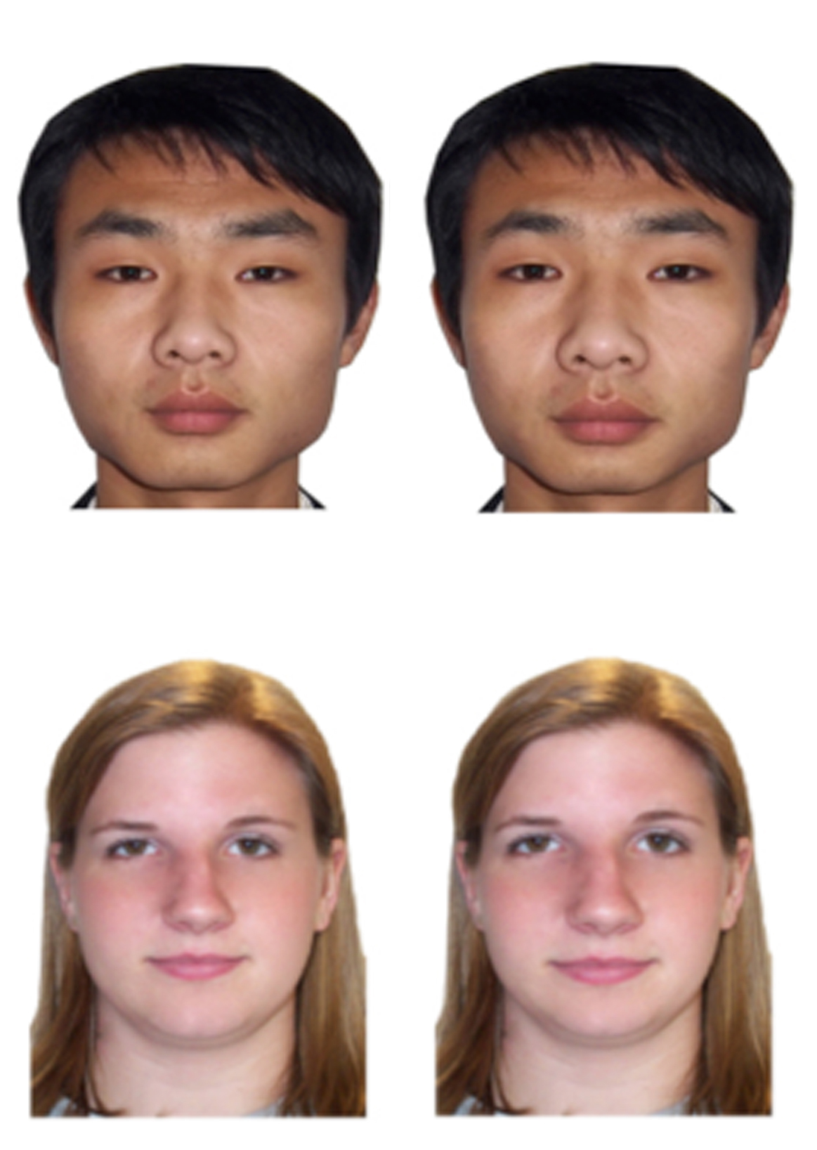Race And Age Influence Judgment Of Facial Attractiveness: Brock ...