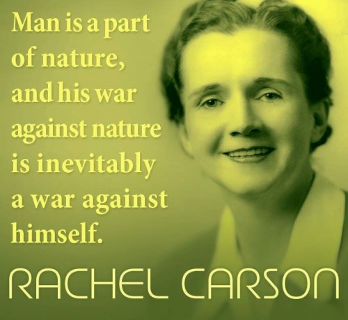 On This Earth Week – A Message from the Mother of the Modern-Day ...