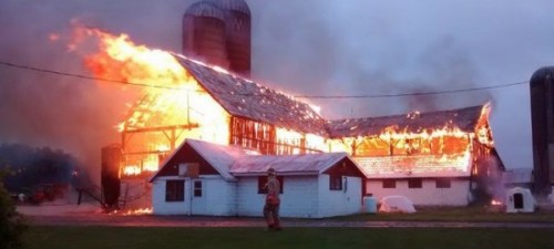 Sign a Petition to Protect Tens-Of-Thousands of Animals from Deadly ...