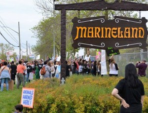 Another Profile on Marineland’s Late Owner John Holer | Niagara At Large