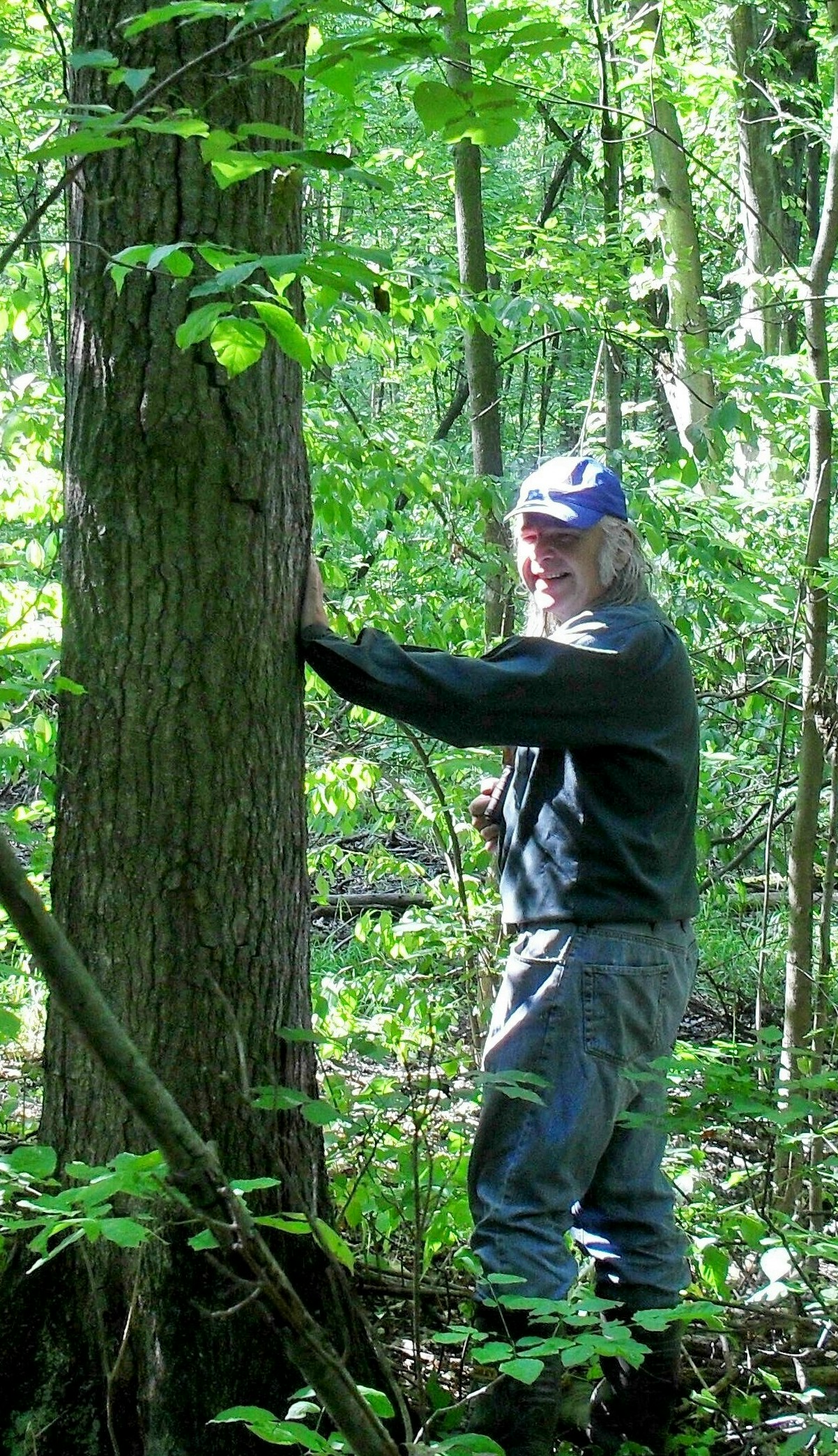 Niagara Conservationist Files Appeal To Rescue Thundering Waters Forest ...