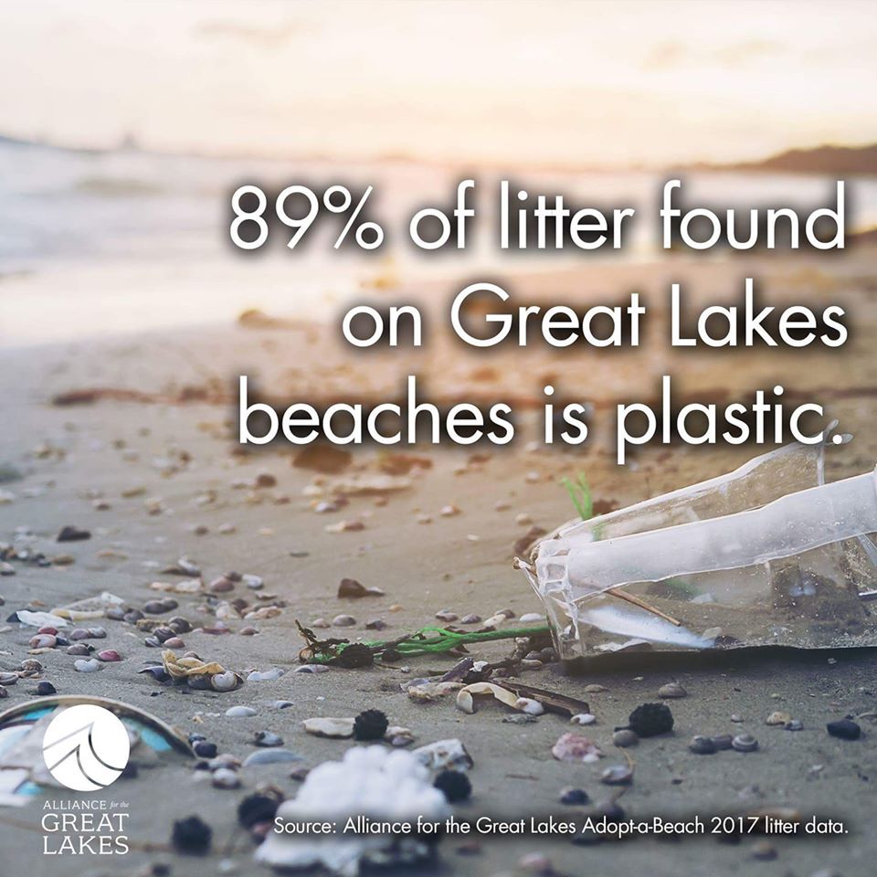 Brock U. Students Find Alarming Amounts Of Plastic In Sand At St ...