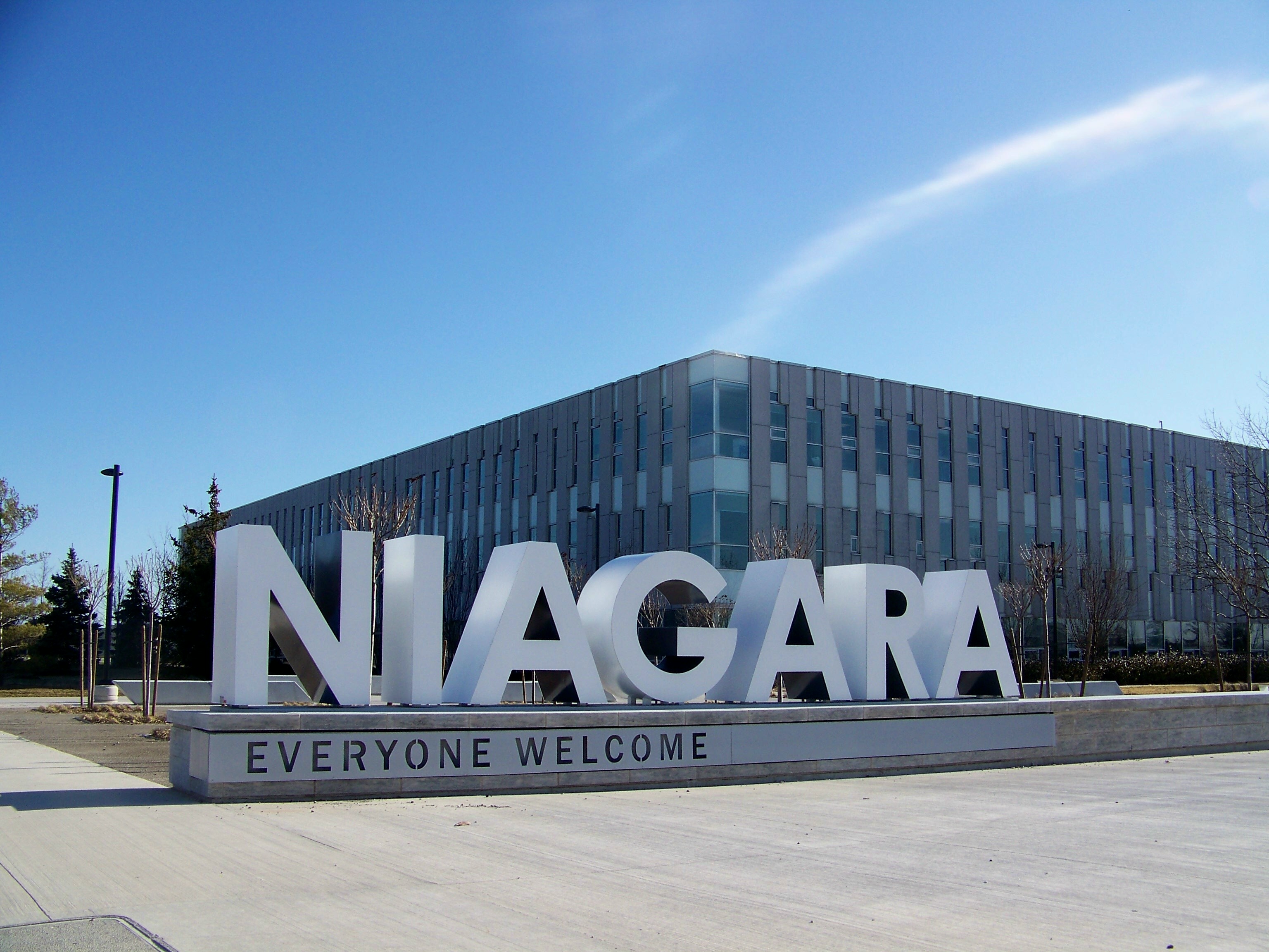 Niagara Region’s Brand New Diversity, Equity, and Inclusion Advisory ...
