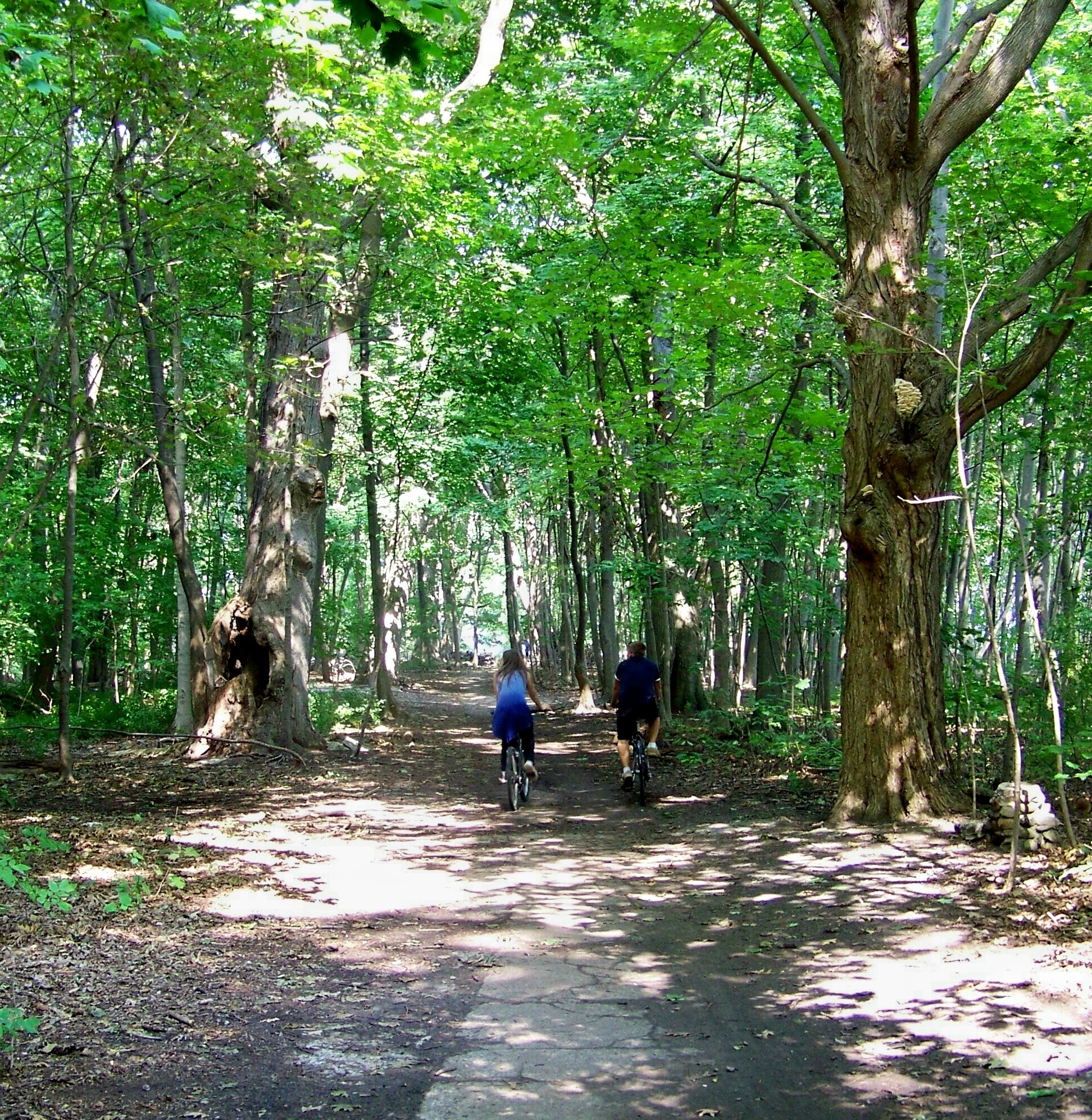 Passionate Birder & Champion in Fight to Save Fort Erie’s Waverly Woods ...