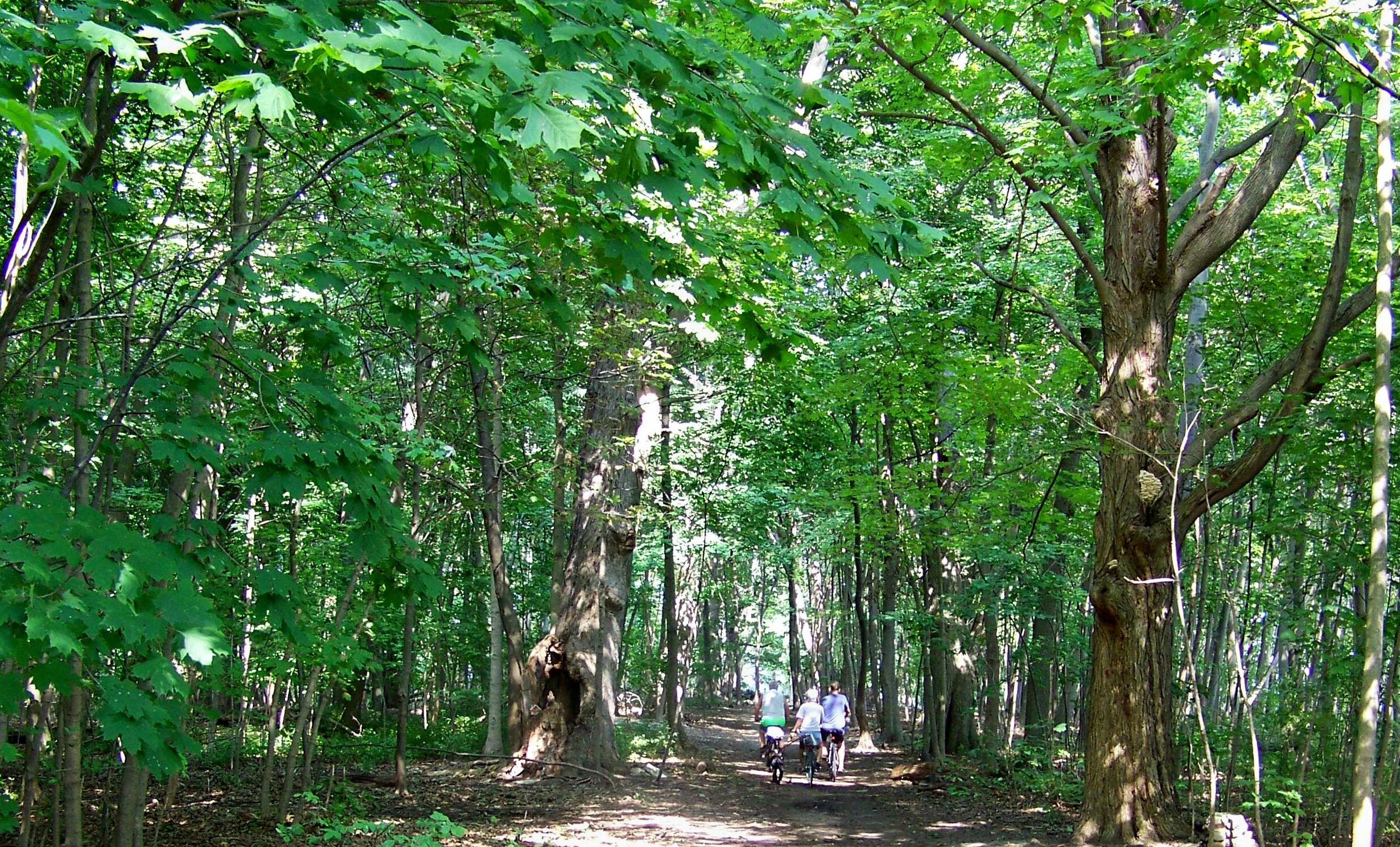 Settlement Has Been Reached in Waverly Woods Development Plan Case in ...