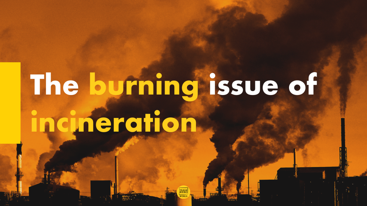 Learn More About The Dangers of Approving An Incinerator for Operation ...