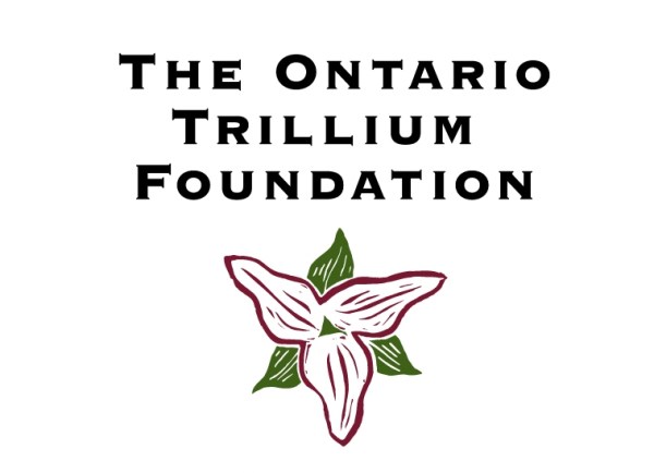 Ontario Trillium Foundation Funding Supports Horse Sense for Kids in ...