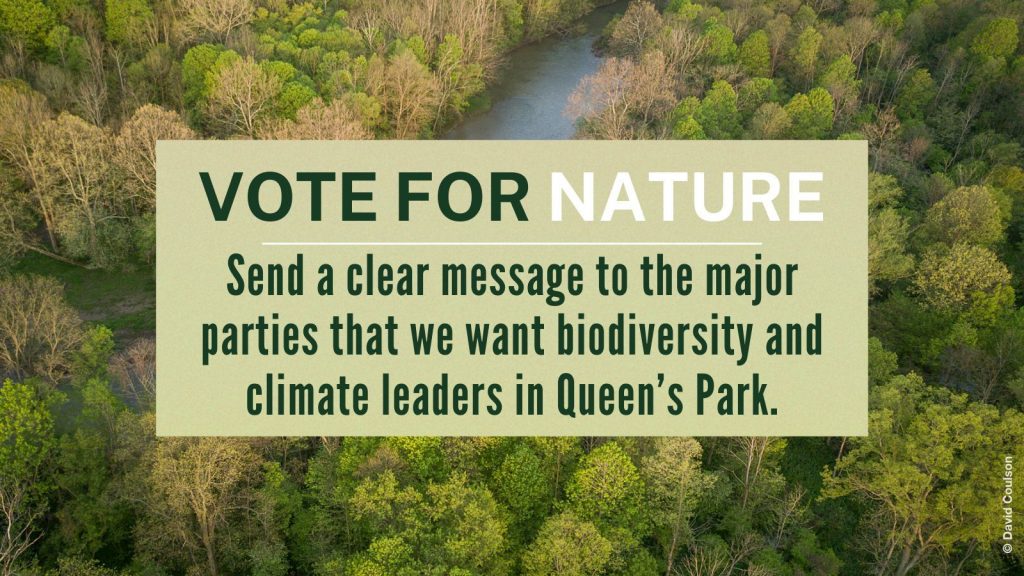 Ontario Nature Asks You To Share Your Top 5 Conservation Priorities ...