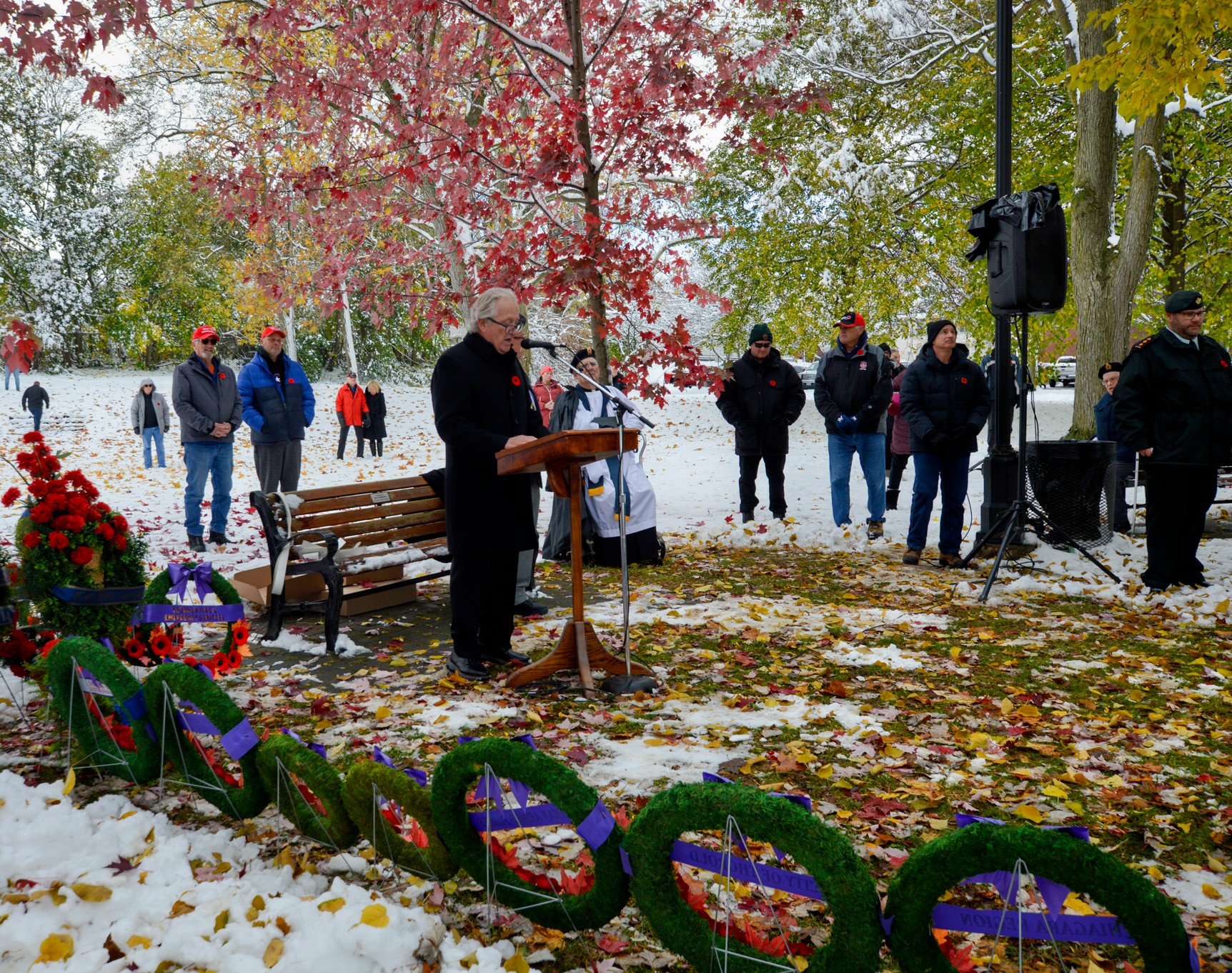 Thorold’s City Council Can’t Be Allowed to Vanadalize Beloved Park ...