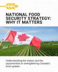 Prime Minister Launches National Food Security Strategy To Build A More ...