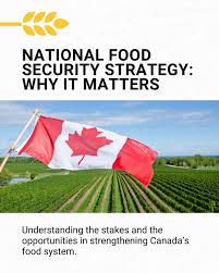 Prime Minister Launches National Food Security Strategy To Build A More ...