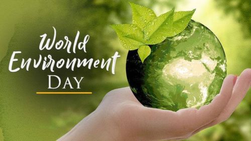 It’s World Environment Day, If Anyone Cares To Notice | Niagara At Large
